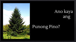 ANG HATOL NG KUNEHO-ANG HATOL NG KUNEHOpptx | PPT