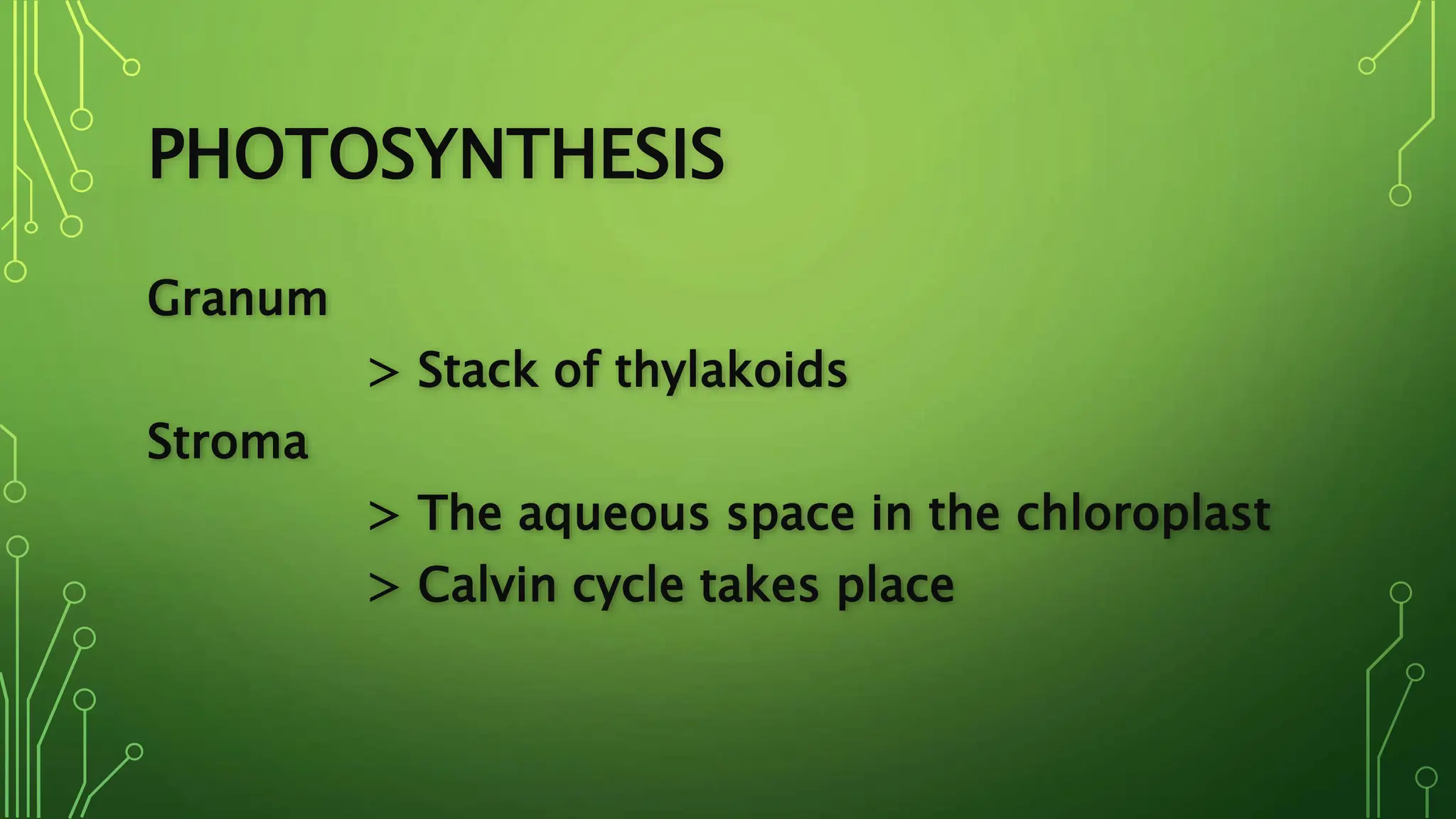 grade 9 -Photosynthesis Power point Presentation | PPTX