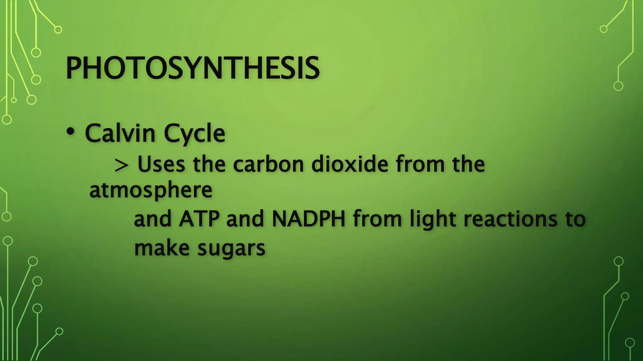 grade 9 -Photosynthesis Power point Presentation | PPTX