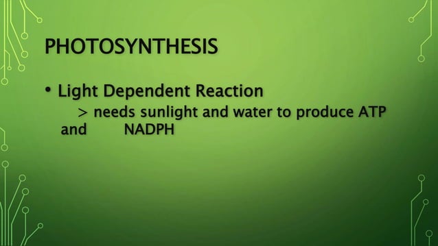 grade 9 -Photosynthesis Power point Presentation | PPTX | Chemistry ...