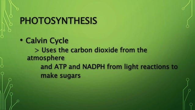 grade 9 -Photosynthesis Power point Presentation | PPTX | Chemistry ...