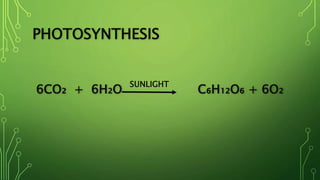grade 9 -Photosynthesis Power point Presentation | PPTX