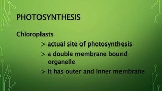 grade 9 -Photosynthesis Power point Presentation | PPTX