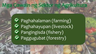 G9-Sektor-ng-Agrikultura.pptx