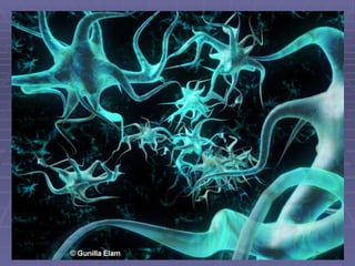 Sistema Neuro-hormonal | PPT