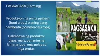 G9 AP Q4 Week 3 Agrikultura.pptx