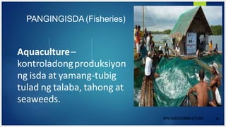 G9 AP Q4 Week 3 Agrikultura.pptx