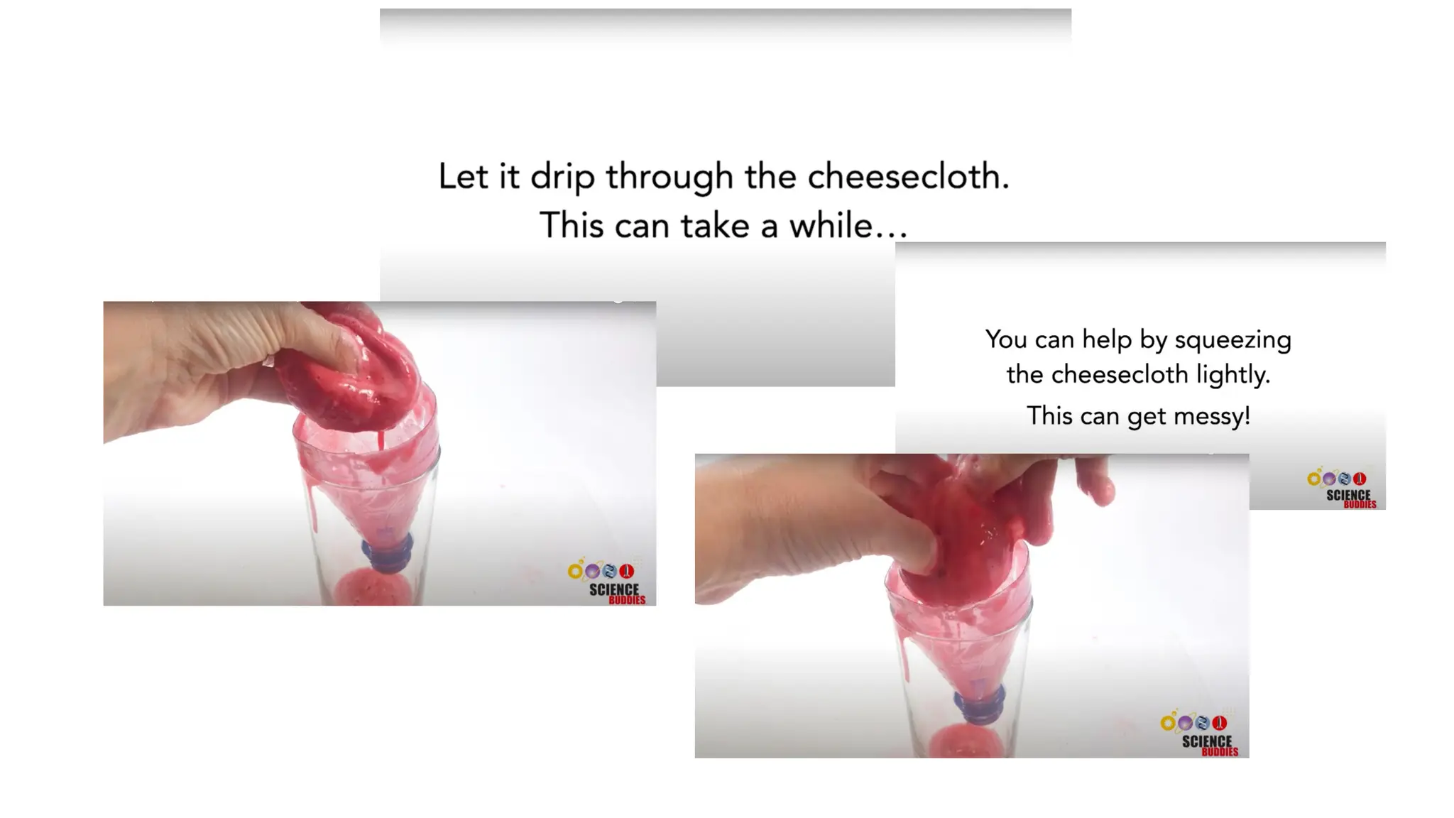 G9B DNA extraction Activity- lab activity | PPTX