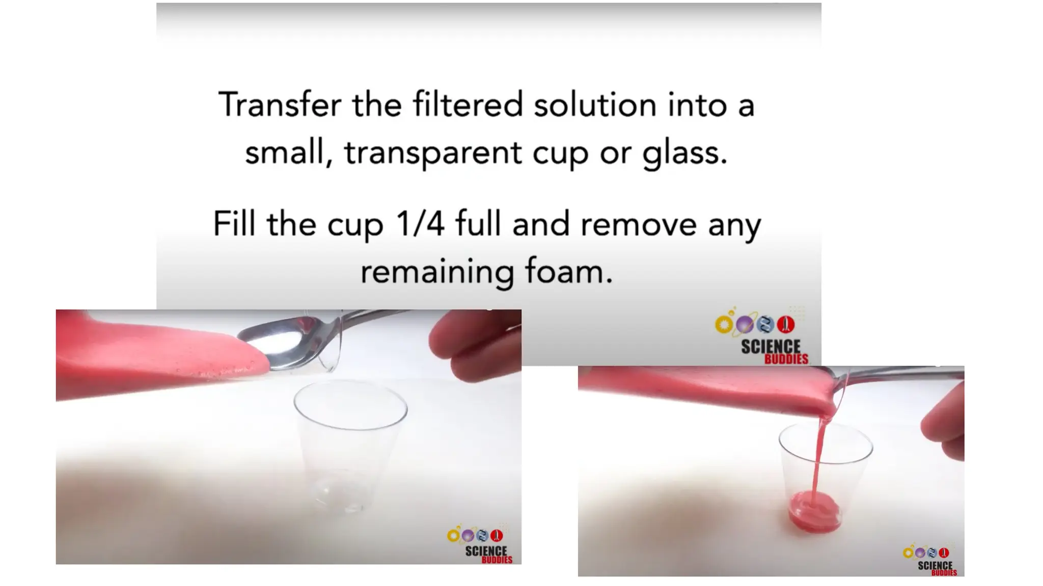G9B DNA extraction Activity- lab activity | PPTX