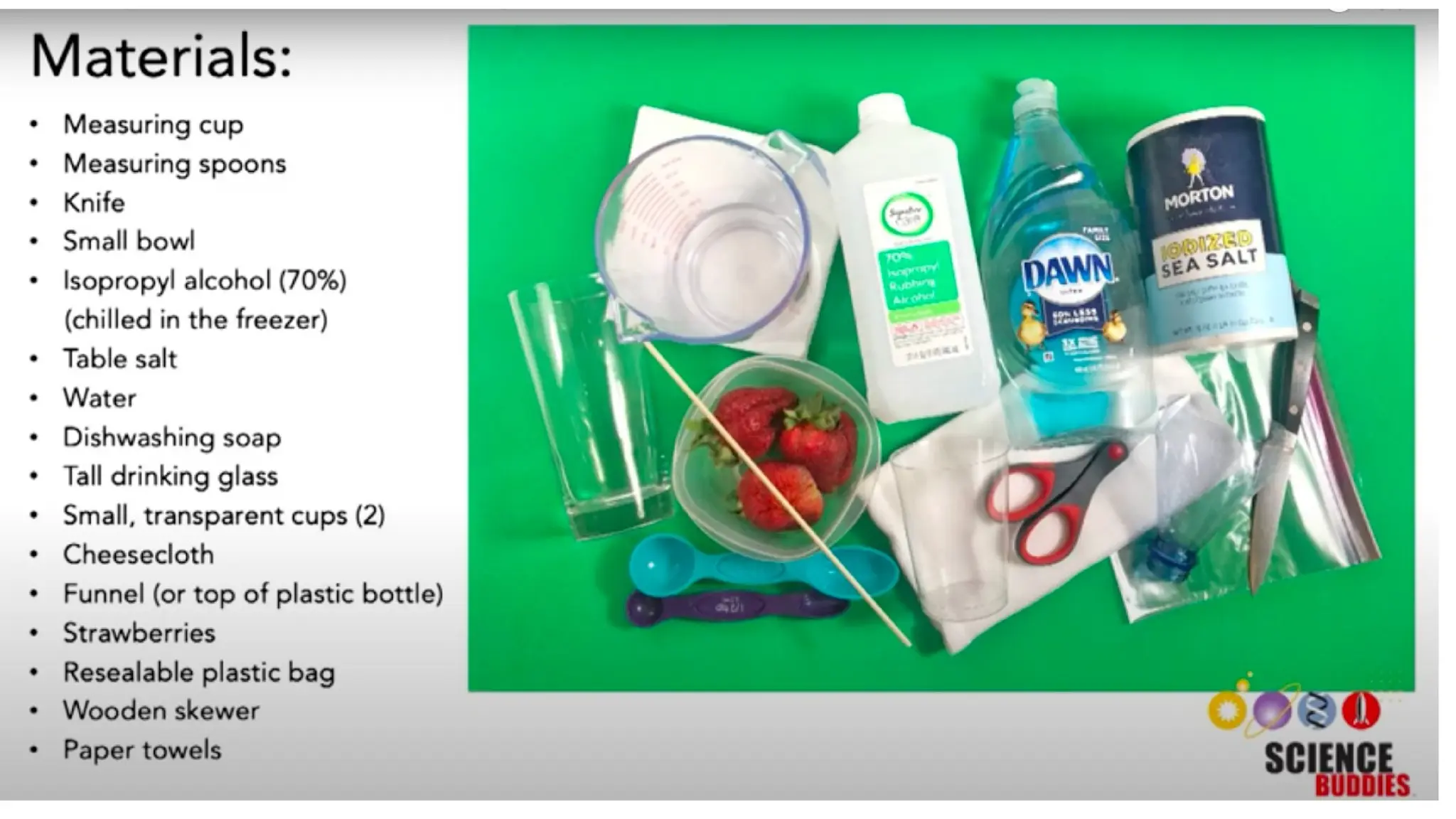 G9B DNA extraction Activity- lab activity | PPTX
