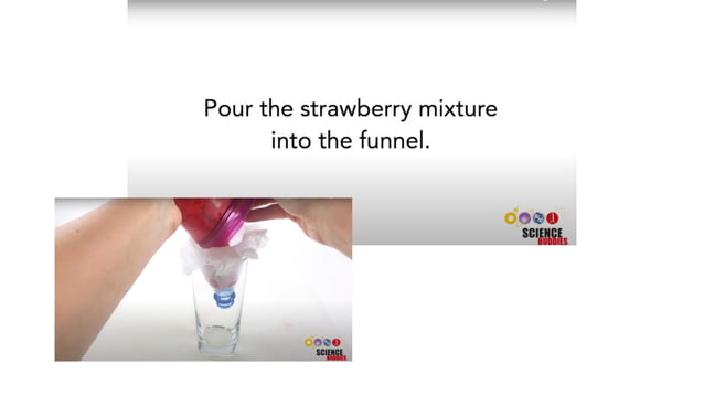 G9B DNA extraction Activity- lab activity | PPTX