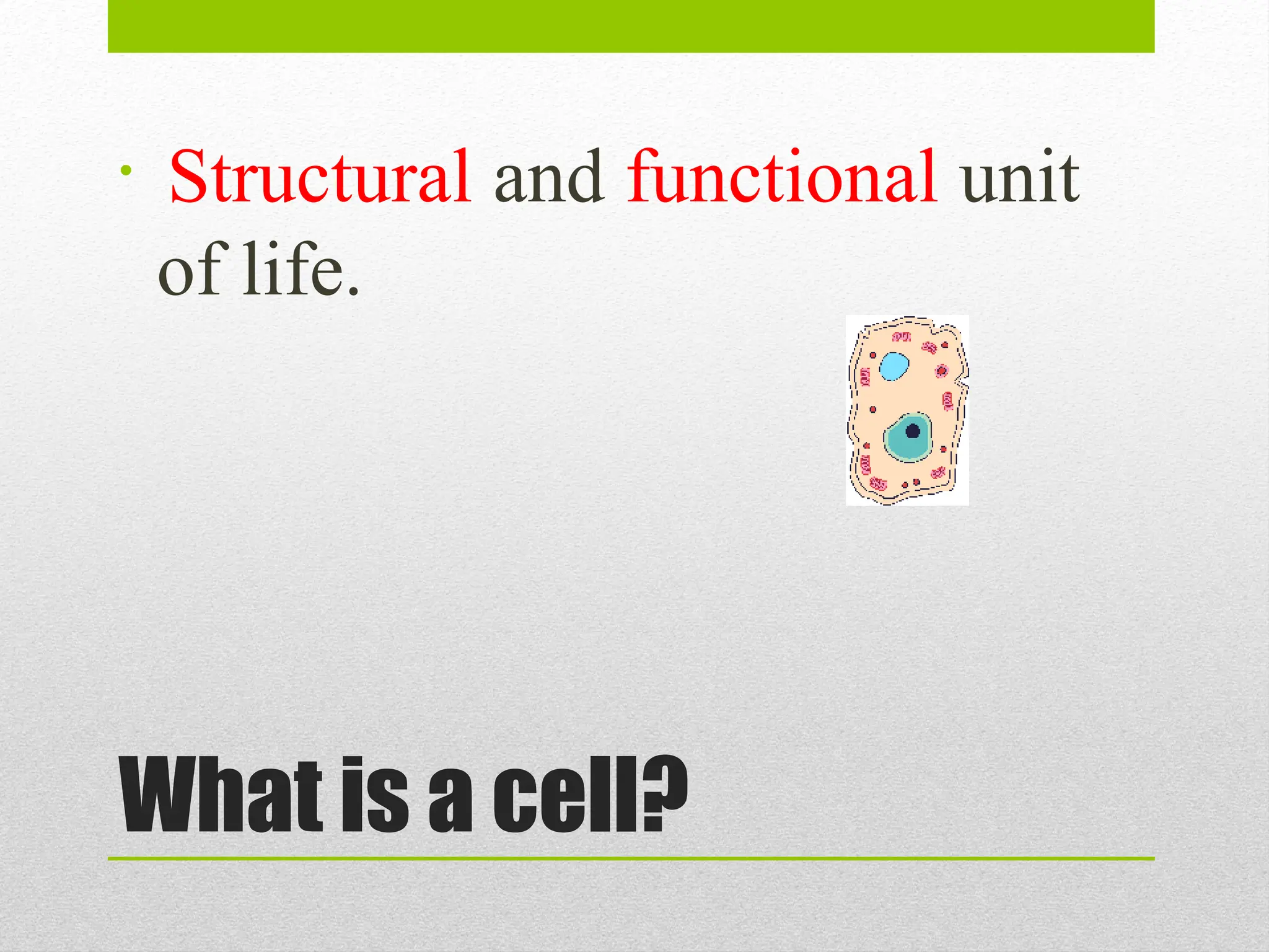 The presentation cell organelles and their functions in the cell. | PPTX
