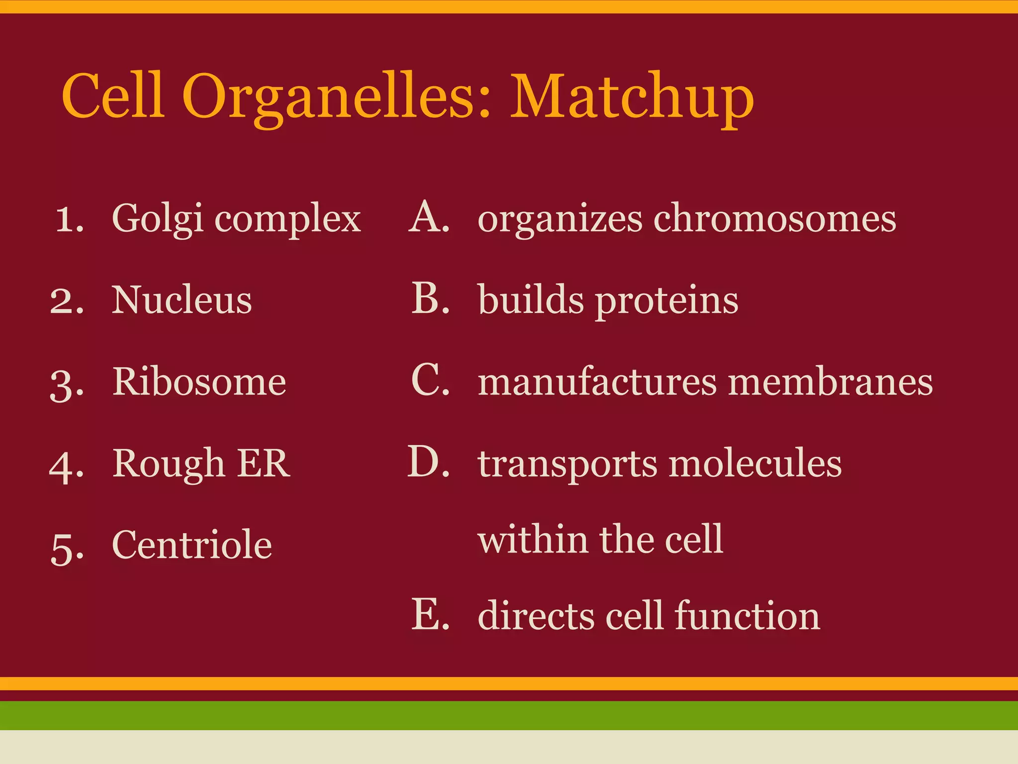 Grade 9 biology test revision | PDF
