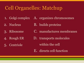 Grade 9 biology test revision | PDF