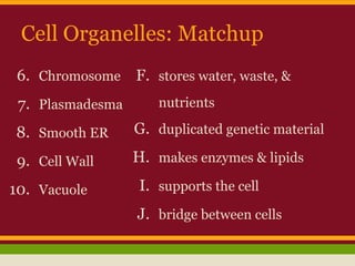 Grade 9 biology test revision | PDF