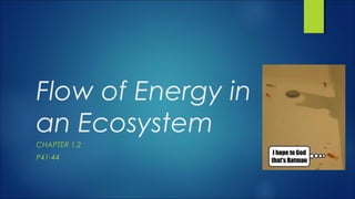 G9 ch2.2 energy in an ecosystem | PPT