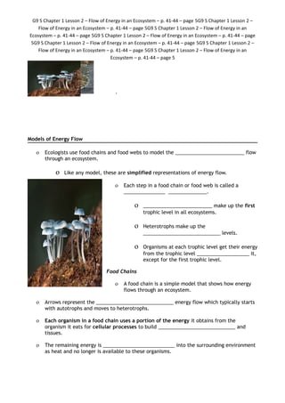 G9 ch2.2 energy in an ecosystem | RTF
