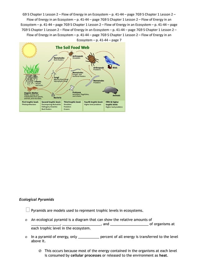 G9 ch2.2 energy in an ecosystem | RTF