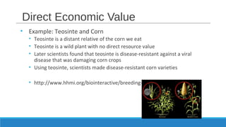 G9 ch5.1 biodiversity | PPT