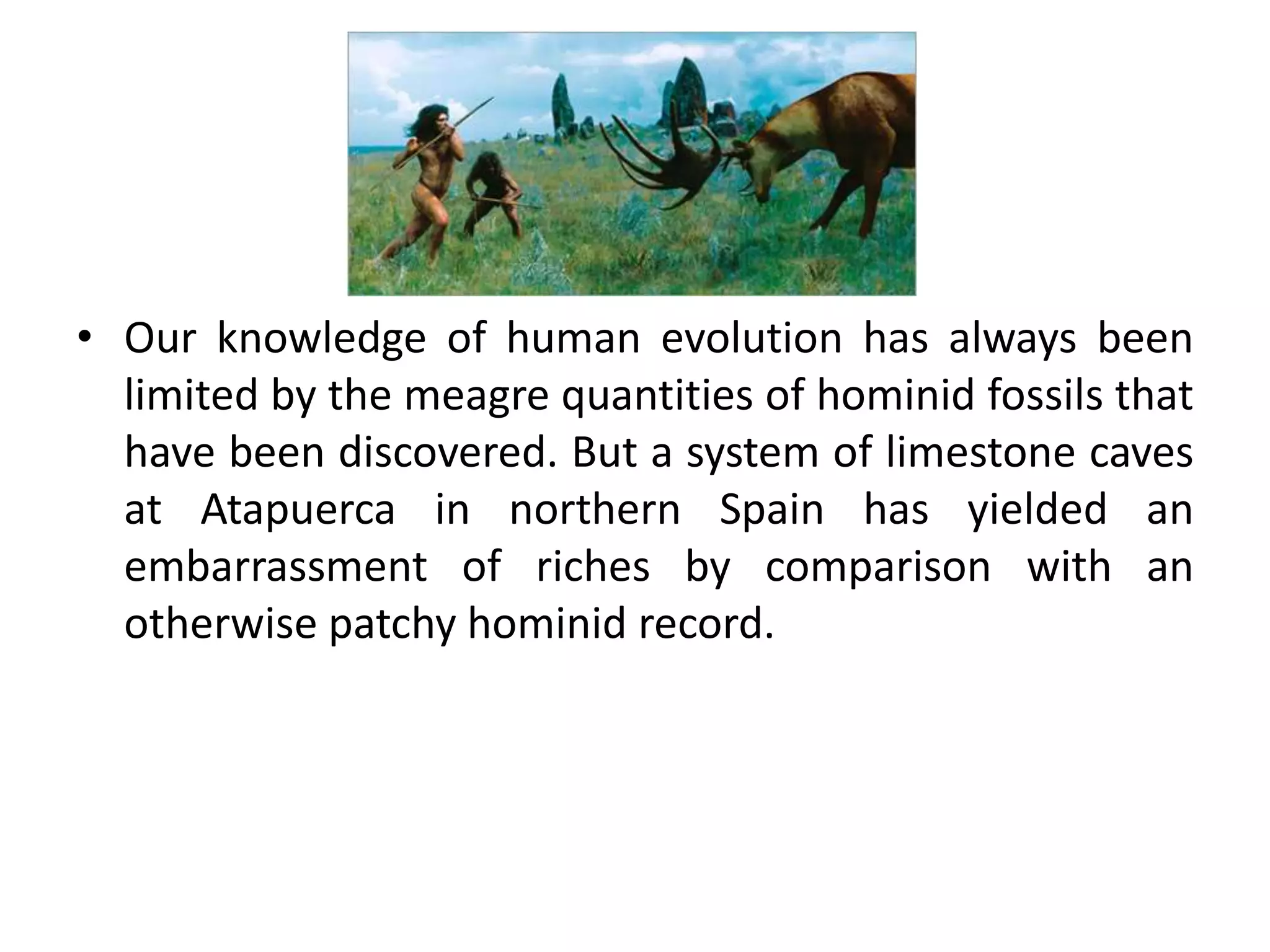 G9 Human Evolution | PPT