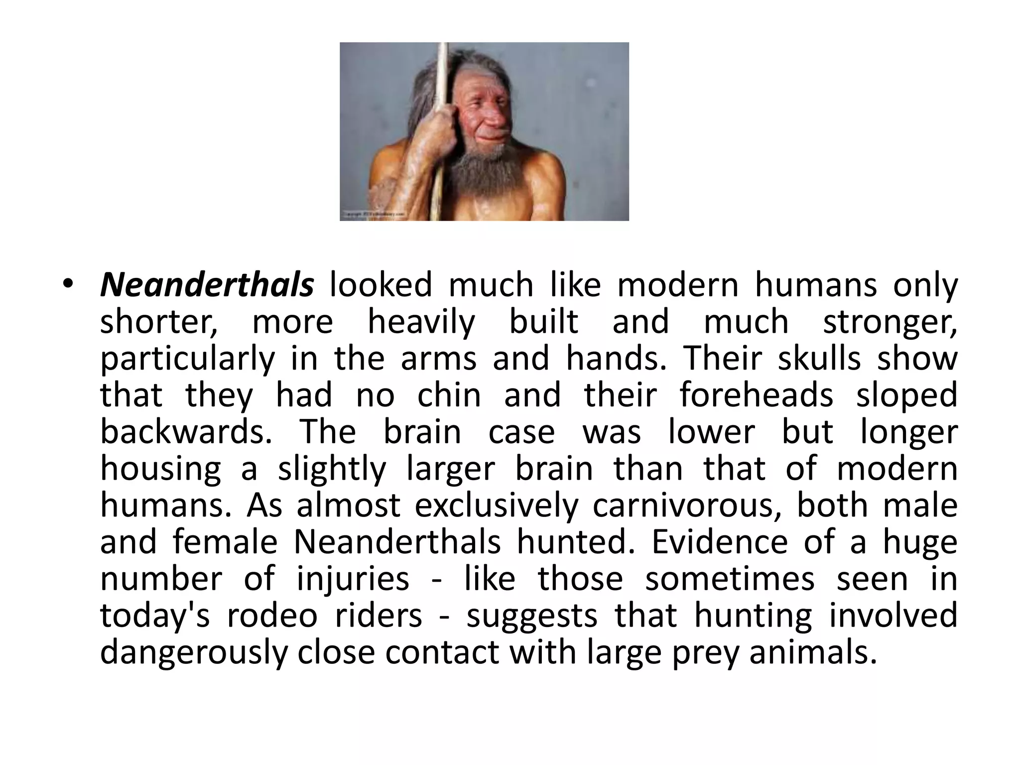 G9 Human Evolution | PPT