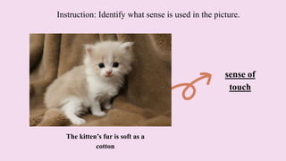 GRADE 9 ENGLISH DEMO MELC 1: IMAGERY.pptx