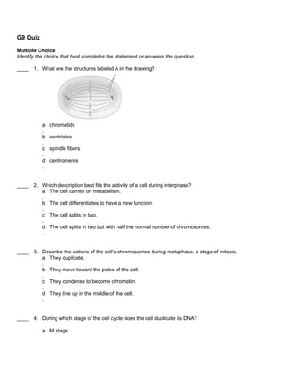 G9 mitosis mc quiz | RTF