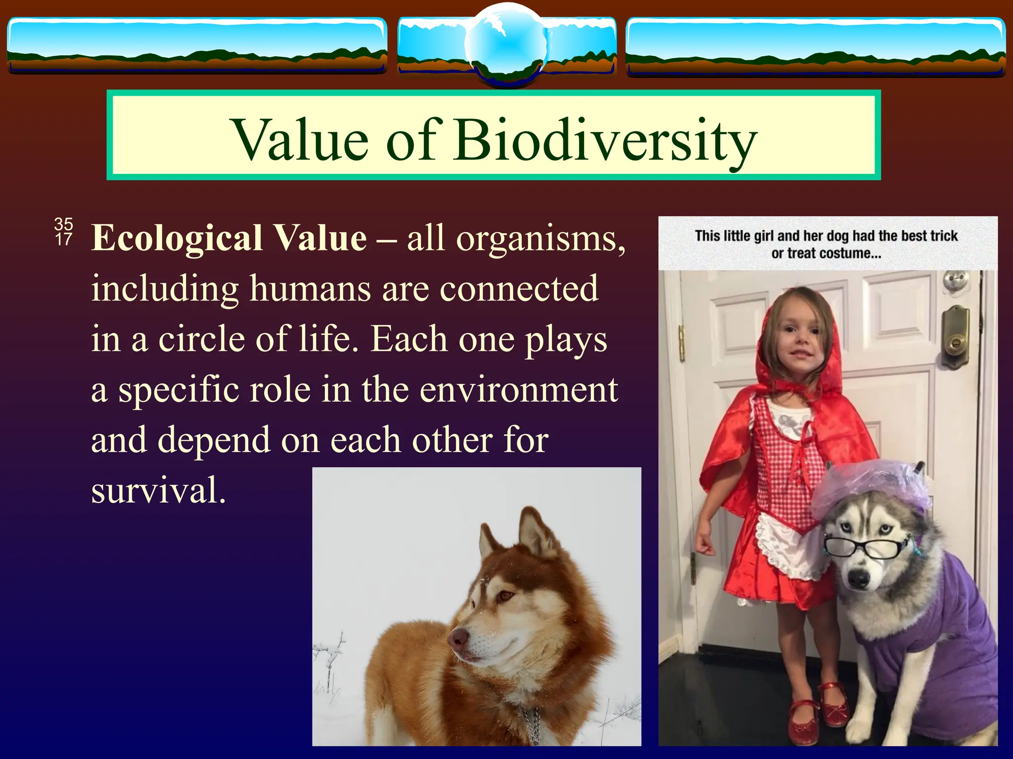 [G9 Science - Q1] Introduction to Biodiversity and Classification.pptx ...