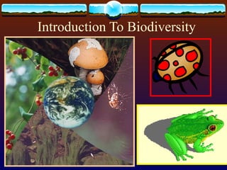 [G9 Science - Q1] Introduction to Biodiversity and Classification.pptx ...