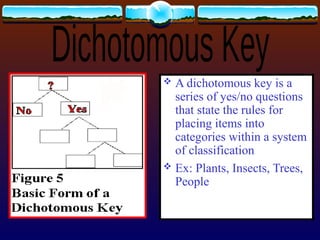 [G9 Science - Q1] Introduction to Biodiversity and Classification.pptx