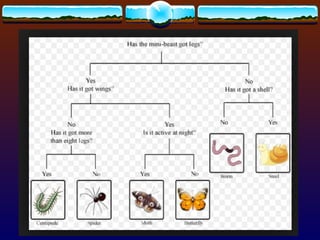 [G9 Science - Q1] Introduction to Biodiversity and Classification.pptx ...
