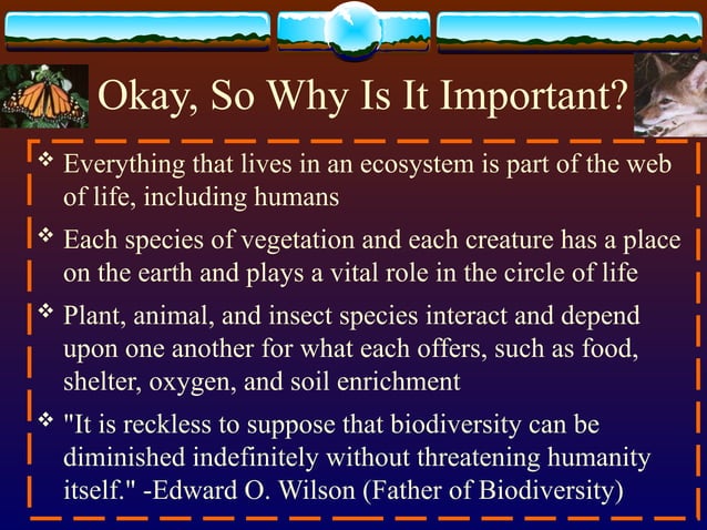 [G9 Science - Q1] Introduction to Biodiversity and Classification.pptx ...