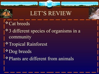 [G9 Science - Q1] Introduction to Biodiversity and Classification.pptx ...