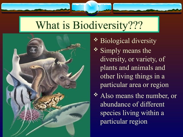 [G9 Science - Q1] Introduction to Biodiversity and Classification.pptx ...