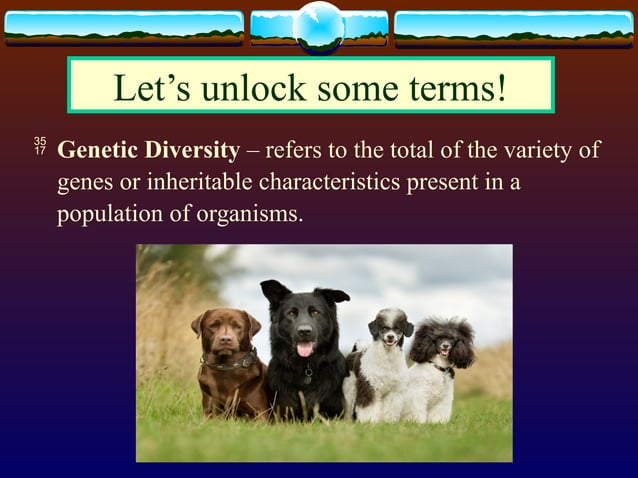 [G9 Science - Q1] Introduction to Biodiversity and Classification.pptx ...