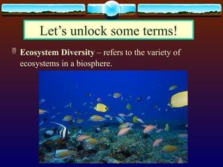 [G9 Science - Q1] Introduction to Biodiversity and Classification.pptx ...