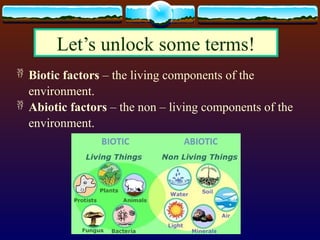 [G9 Science - Q1] Introduction to Biodiversity and Classification.pptx ...