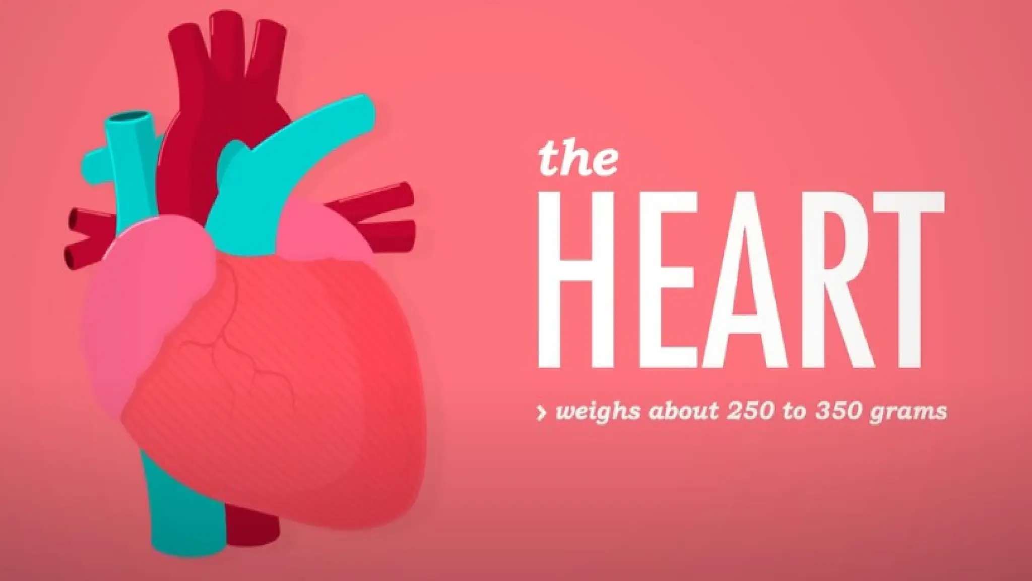G9 SCIENCE LESSON 1-Human Body Systems - Respiratory and Circulatory ...