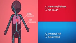 G9 SCIENCE LESSON 1-Human Body Systems - Respiratory and Circulatory ...