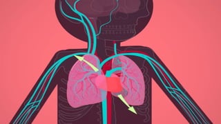 G9 SCIENCE LESSON 1-Human Body Systems - Respiratory and Circulatory ...