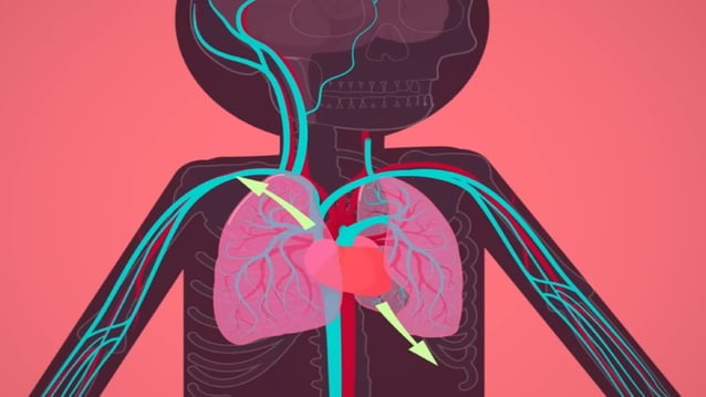 G9 SCIENCE LESSON 1-Human Body Systems - Respiratory and Circulatory ...