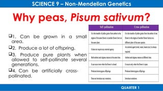 G9 SCIENCE LESSON 3: Non Mendelian Genetics.ppt