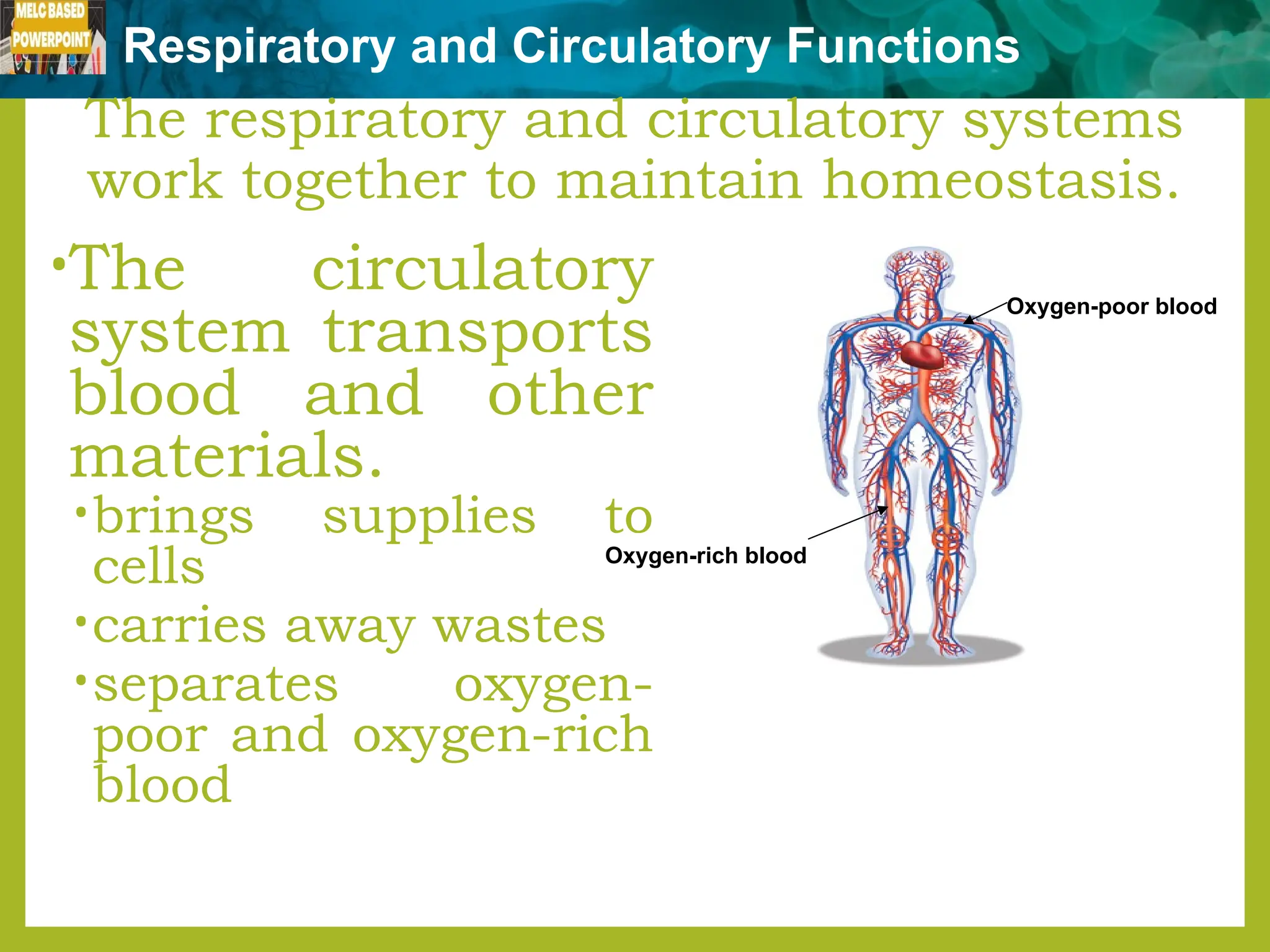 G9 Science Q1- Week 1-2 Respiratory-Circulatory-System.ppt