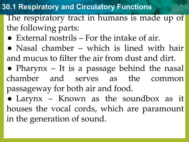G9 Science Q1- Week 1-2 Respiratory-Circulatory-System.ppt