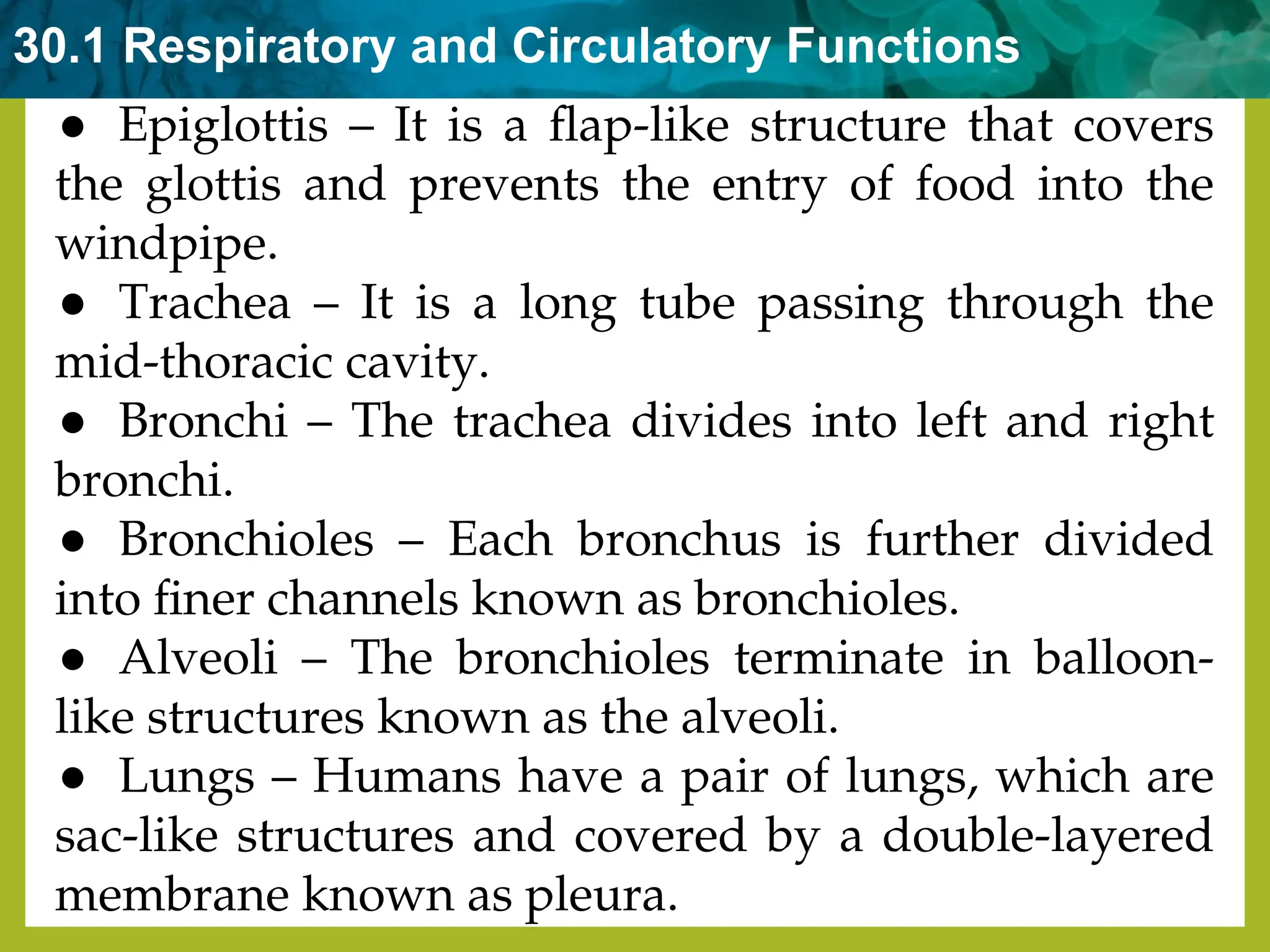 G9 Science Q1- Week 1-2 Respiratory-Circulatory-System.ppt