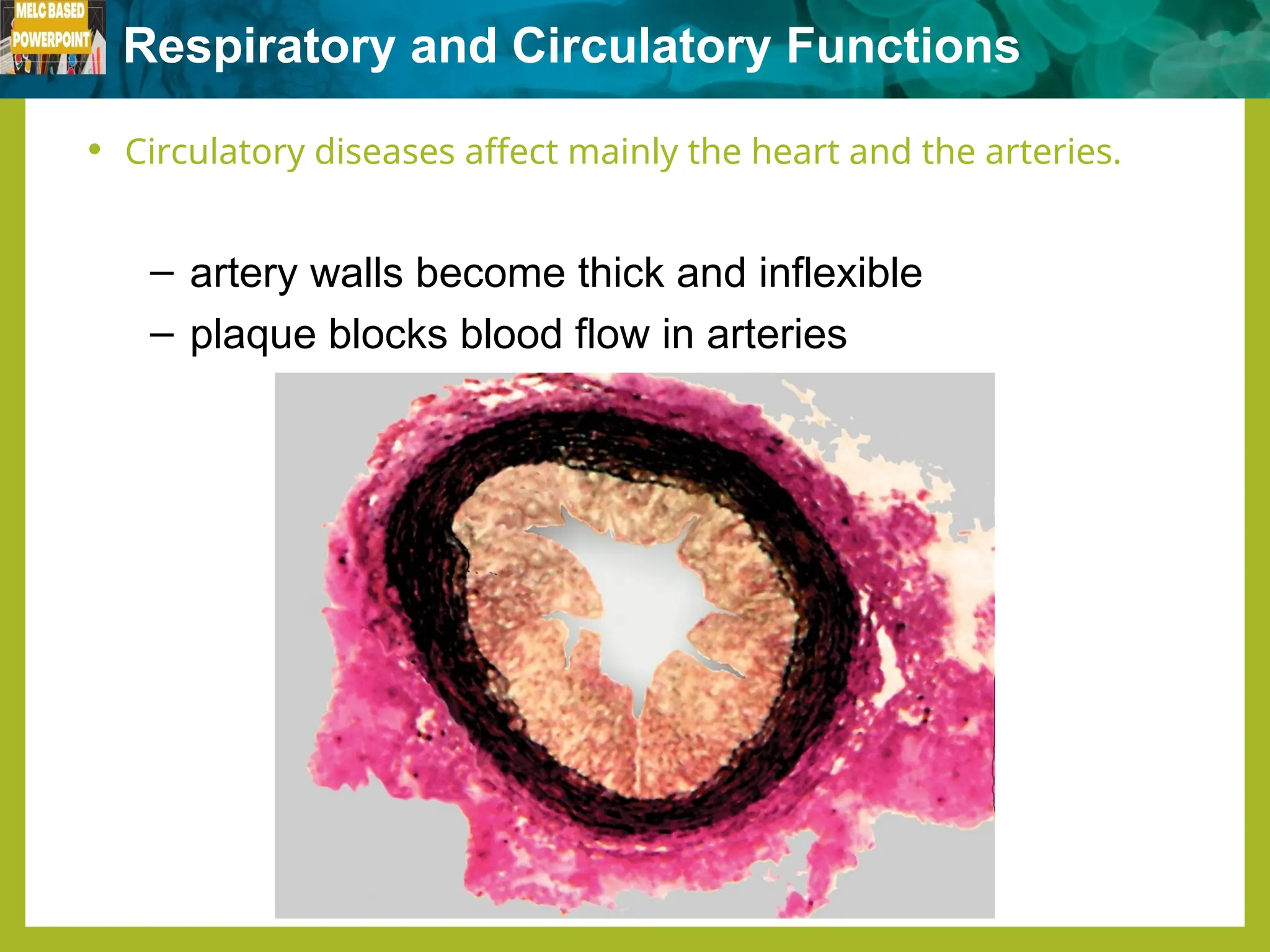 G9 Science Q1- Week 1-2 Respiratory-Circulatory-System.ppt