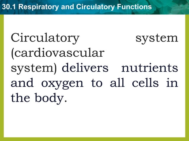 G9 Science Q1- Week 1-2 Respiratory-Circulatory-System.ppt