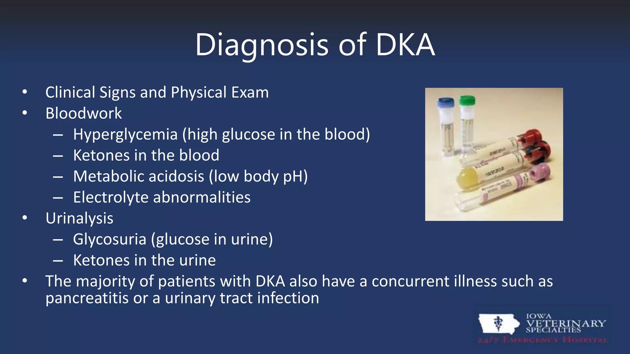 Diabetic Ketoacidosis or "DKA" in Cats | PPTX