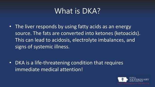 Diabetic Ketoacidosis or "DKA" in Cats | PPT