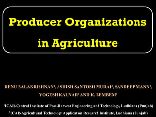 Producer organizations in agriculture | PDF